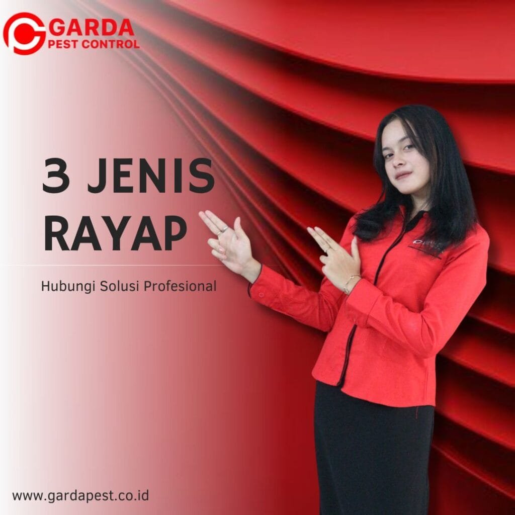 3 Jenis Rayap Yang Ada di Indonesia | Garda Pest